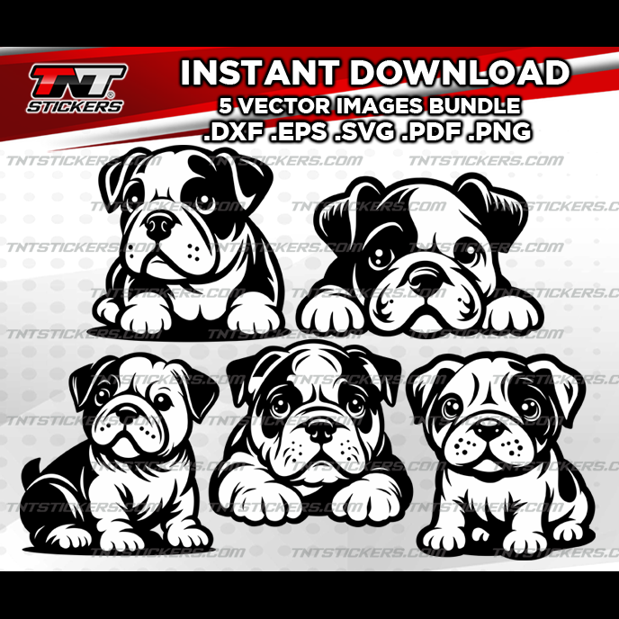 Bulldog Puppies Dog VECTOR FILE BUNDLE | svg | eps | png | pdf | dxf ...